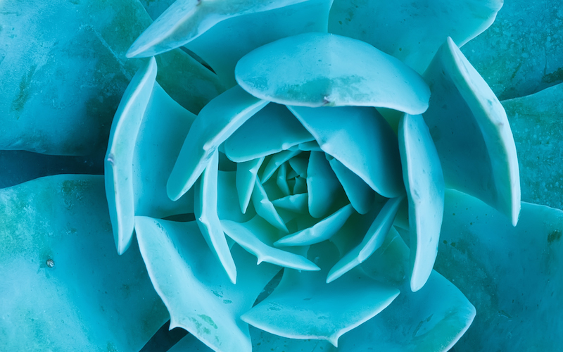 The PREPARE study – Marsha Michie